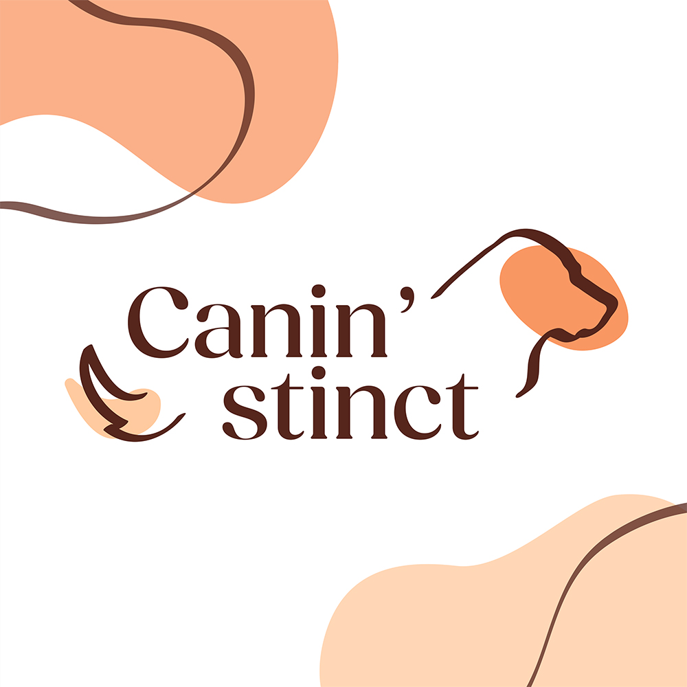 Canin'stinct - éducation canine